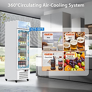 ExploreHorizon Commercial Display Beverage Fridge with Glass Door Display Refrigerator Drink Cooler Case Fridge 11.3 Cu.Ft/320L Merchandiser Refrigerators with 4 Adjustable Shelves Lightbox, White