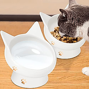 Cat Bowls, Ceramic Cat Food and Water Bowl Set Anti Vomiting, Tilted Elevated Bowls for Cat, Small Dogs, Protect Pet's Spine, Dishwasher and Microwave Safe,2 Pack