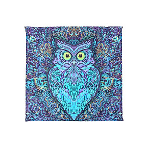 ALAZA Cute Abstract Owl and Psychedelic Ornate Pattern Chair Pad Seat Cushion for Office Car Outdoor Indoor Kitchen, Soft Memory Foam, Back Pain, Coccyx & Sciatica Relief, 15.7x15.7 in