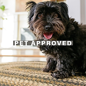 Homespice 20x30” Black Oval Braided Rug. Kilimanjaro Black Jute Oval Rug. Uses- Entryway Rugs, Kitchen Rugs, Bathroom Rugs. Reversible, Rustic, Country, Primitive, Farmhouse Decor Rug