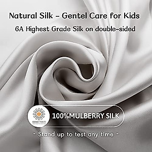 iCooBreeze 100% Pure Silk Toddler Pillowcases,Mulberry Silk Double Sided Pillow Case with Hidden Zipper,Organic Pillow Covers for Baby Kid Toddler Boys Girls, Toddler (13"X18") 1 Pack, Silver Grey