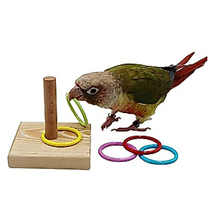 YANQIN Parrot Trick Training Toys, Bird Tabletop Toys, Training Stacking Color Ring Toys Sets for Small and Medium Birds Parrots Budgie Cockatiel Parakeet (with 6 Rings)