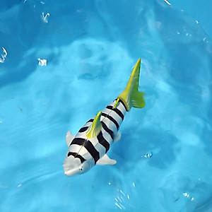 Tipmant Mini RC Fish Shark Remote Control Boat Ships & Submarine for Fish Tank, Swimming Pool, Bathtub Kids Electric Animal Toy - 3 Pack