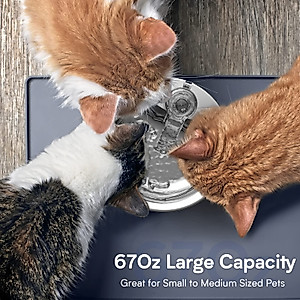 MEGADOO Cat Water Fountain Stainless Steel, 2.0L/67oz Pet Drinking Fountains, Automatic Cat Fountain with Quiet Pump, Dishwasher Safe Design, Suitable for Multiple Pets