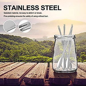 HANABASS 5pcs Lobster Travel Neddles Eatting for Opener Restaurant and Fork Tasting Shellfish Gadget Pliers Fruit Stainless Portable Peeling Appetizer Forks Picks Nut Escargot Tool