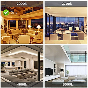 LUXON 8-Pack Edison Bulbs Antique Vintage Style Incandescent Light Bulb Dimmable Amber Warm 60W E26 Base for Wall Sconce Chandelier Retro Fixture