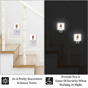 EVANLinsim Basset Hound Dog Night Light Plug in Set of 2, 0.5 W Led Night Lights for Kids Adults Boys Girls Babies, Auto Senor Dusk to Dawn for Reading Bathroom Bedroom Nursery Decorative