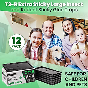 T3-R Sticky Traps for Bugs Extra Large (12 Pack) - Mouse and Insect Glue Boards - Disposable Non-Toxic Glue Traps for Mice and Rats - Extra Strength Sticky Glue Traps for Rodent