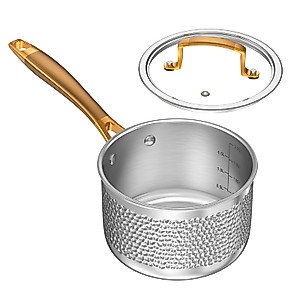 Homaz life 2-Quart Saucepan with Tempered Glass Lid, Tri-Ply Stainless Steel Cookware, Induction Ready, Compatible with All Cooktops, Dishwasher Safe, Non-Toxic, Gold-Colored Stay-Cool Handle