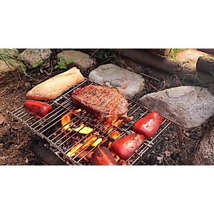 Bitty Big Q Stainless Steel Ultra Compact Portable Lightweight Camping Grill