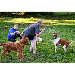 Puppy Love Bubbles, Bacon Scented Bubbles 4oz. Bottle-2 Pack in Bacon Flavor for Dogs