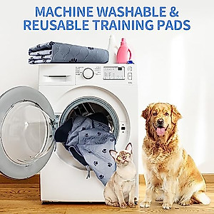 Non-Slip Washable Pee Pads for Dogs, 2 Pack Large 36"x41" Ultra-Absorbent and Leak-Proof Reusable Potty Training Pads for Dogs and Cats Puppy Pads of Add 8 Lanyards