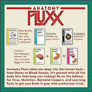 Looney Labs Anatomy Fluxx Card Game - Varied Gameplay and Doctor-Approved Learning