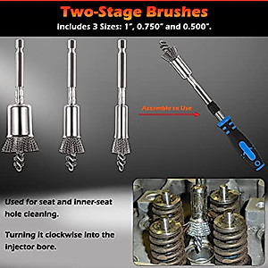 Bonbo Professional Diesel Injector-Seat Cleaning Kit 8090S on Cylinder Heads, Including Helix Brushes, Two-Stage Brushes, Bore Brushes and Swabs (Stainless Steel, 17-Pack)