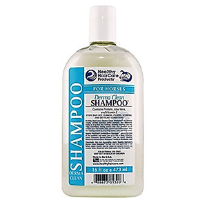 DERMA CLEAN SHAMPOO PT HSD16
