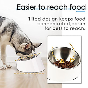 SuperDesign Mess Free 15° Slanted Bowl for Dogs and Cats, Tilted Angle Bulldog Bowl Dog Feeder, Non-Skid & Non-Spill, Easier to Reach Food S/0.5 Cup White