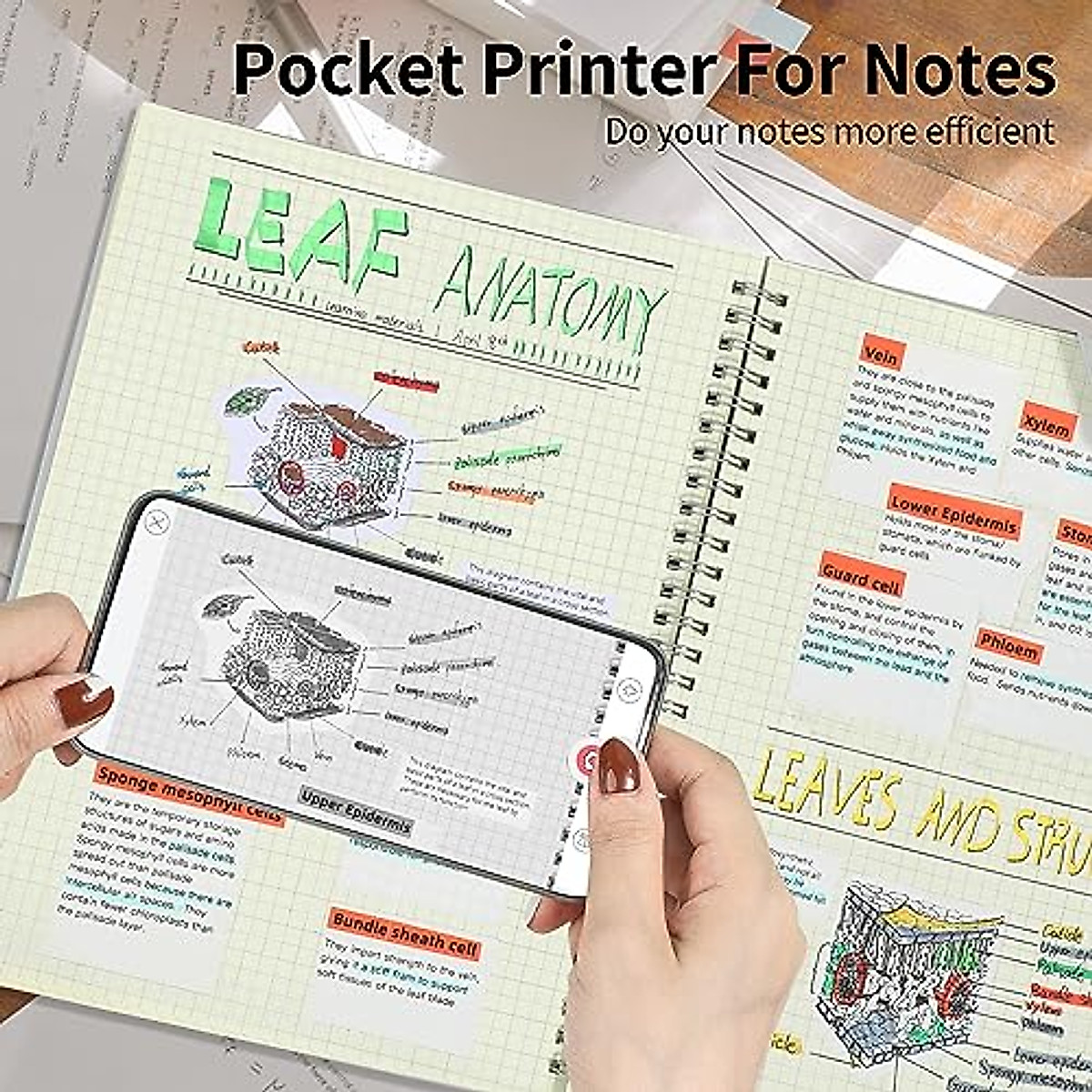 T02 Mini Pocket Sticker Printer - Portable Smart Photo Printer for iPhone, Thermal Mini Pocket Printer, Compatible with iOS&Android, Receipt Mobile Printer for Study, Journal, Notes