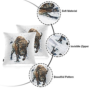 Swono Buffalo Set of 2 Decorative Throw Pillow Covers Cushion Case, Wild Animal Bison Buffalo Bull Farmhouse Pillowcase Cozy Pillow Cover for Couch Sofa Bed Garden Chair Car 18 X 18 Inch
