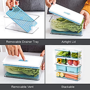 Lille Home Stackable Produce Saver, Organizer Bins/Storage Containers with Removable Drain Tray, Set of Six, for Refrigerators, Cabinets, Countertops and Pantry, BPA Free (Blue,Set of Six)