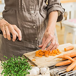 Grow Your Own Jungle Garden - Alfalfa Microgreen Growing Kit 3D Garden Scene with Attachable Animal Cards, Best Birthday Crafts Gifts for Girls & Boys