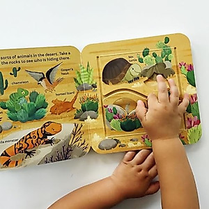Zoo: Peek-a-Flap Board Book