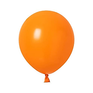 OOPAT DIY Little Cutie Balloon Garland Kit for Baby Shower Birthday Orange Citrus Themed Bridal Shower Party Backdrop Decoration(Orange)