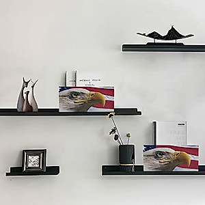 American Bald Hawk Storage Basket Felt Storage Bin Collapsible Shelves Basket Decorative Baskets Organizer for Kids Bedroom Magazine