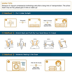 OTOSTAR Pack of 2 Throw Pillow Inserts, 18 x 18 Square Cushion Inner Soft Fluffy Plump Stuffer Cushion Pads White Decorative Pillow Inserts