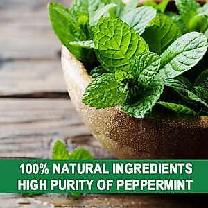 PREPELLITY Squirrel Repellent, Chipmunk Repellent for Plants, Squirrel Deterrent, Mint Squirrel Repellents for Attic, Keep Squirrels Away from Garden, Powerful Repellents Squirrels-8 Pack