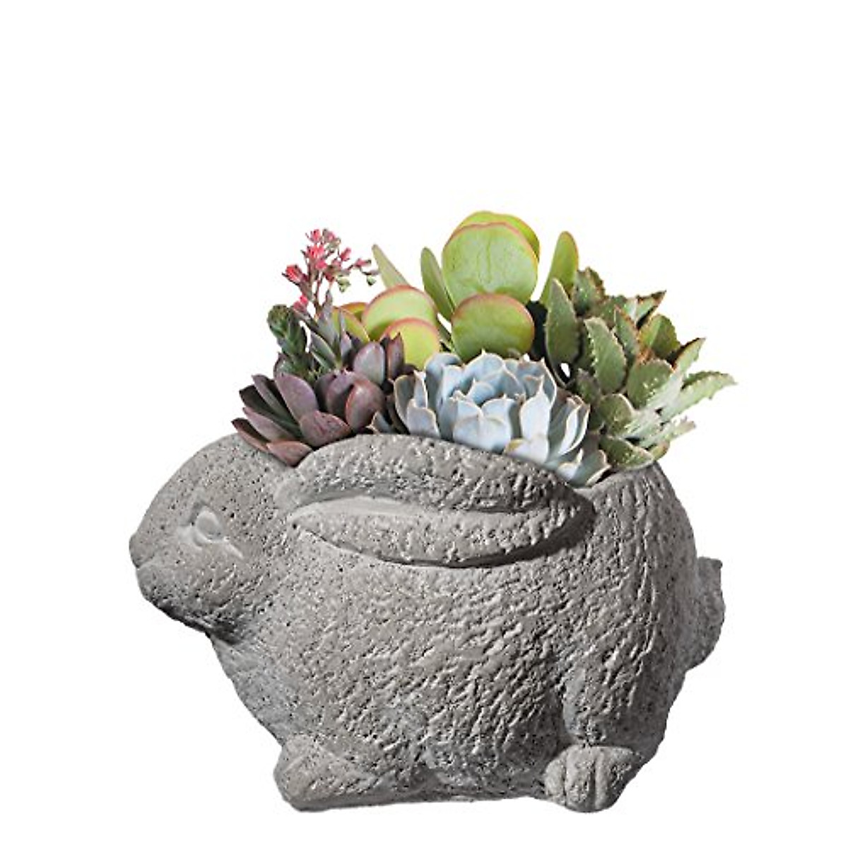 Classic Home and Garden 9/3442/1 Rabbit Planter, Large, Natural