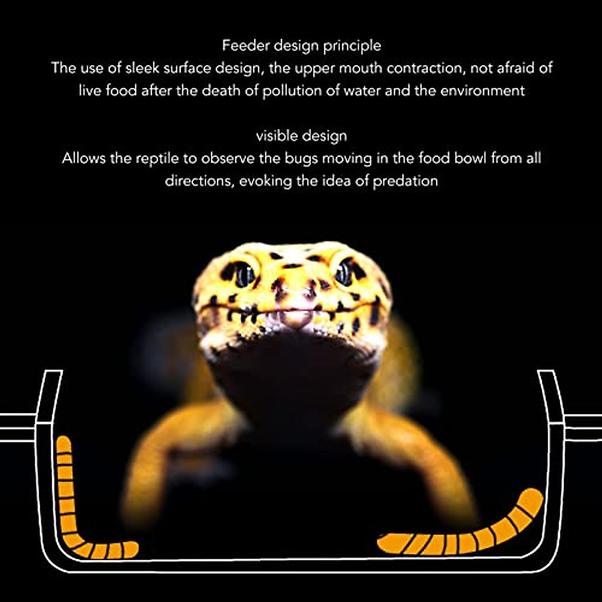 Zerodis Suction Cup Reptile Feeder, Green Wall Reptile Feeder Gecko Lizard Escape Proof Food Water Bowl (S)