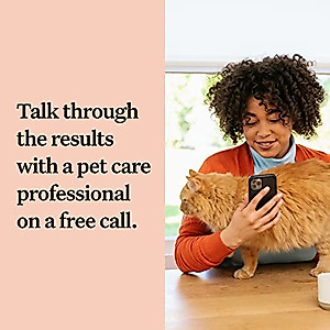 Wisdom Panel Complete: Comprehensive Cat DNA Test kit for 45 Health Genetic Health Conditions, 70+ Breeds and populations, 25+ Traits, Blood Type - 1 Pack