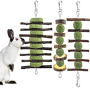 ERKOON 3PCS Bunny Chew Toys, Rabbit Chew Toys for Teeth Grinding, Improve Dental Health, 100% Natural Apple Wood Timothy Grass Cake Treats for Rabbits Guinea Pigs Chinchillas Bunnies Hamsters
