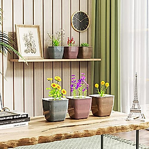 HEMOPLT Self Watering Plant Pots for Indoor Plants - Planters - Pack of 6 4" & 5" African Violet Pots - Orchid Pots - Champagne Gold - Silver - Rose Gold