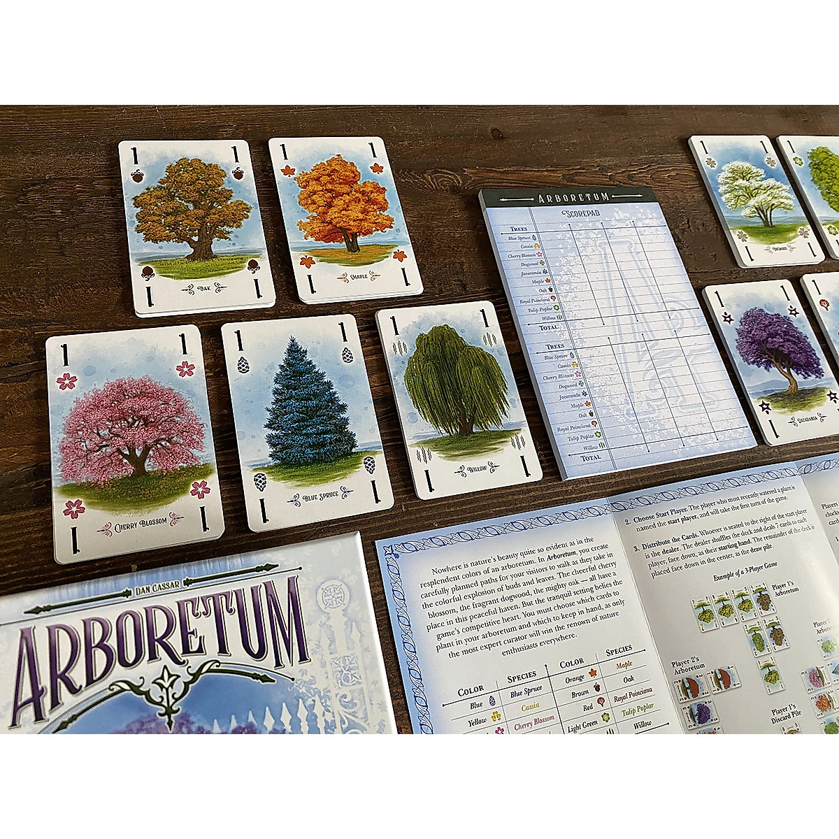 Renegade Game Studios Arboretum Strategy Card Game That Challenges 2-4 Players Aged 8 & Up to Create The Most Beautiful Garden (Packaging May Vary)