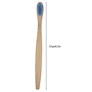 Toothbrush Soft Nylon 6 Colors Recyclable Toothbrushes for Person Oral Care(Blue)