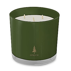 Root Candles Scented Holiday Candles Winter Collection Premium Handcrafted Beeswax Blend Candle, 12-Ounce, Spruce