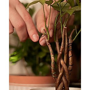 UaiEm Bonsai Tools Set | 13-piece DIY Bonsai Tree Kit with Mini Pruning Shears Concave Cutter, Bonsai Scissors, Bonsai Training Wire, Storage Bag | Carbon Steel Garden Trimming Tools | Bonsai Tool Kit