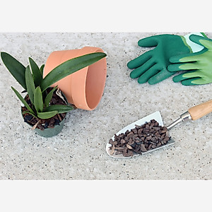 All Purpose Orchid Mix Potting Soil Indoor Plants (2 Quarts), Orchid Bark & Organic Perlite for Plants - Succulent Soil Potting Mix Indoor - Orchid Soil