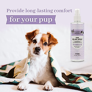 Frankie & Paisley Itch Relief Hot Spot Treatment for Dogs and Puppies | Soothing Anti-Itch Spray for Sensitive Skin – 8 fl. Oz
