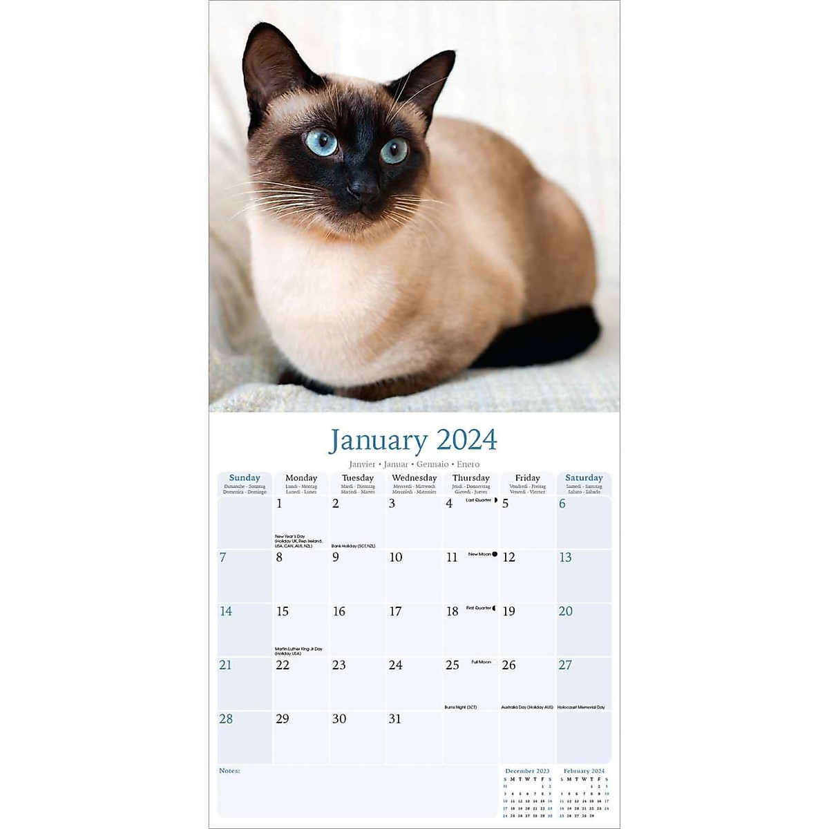 2023 2024 Siamese Cats Calendar - Cute Animal Monthly Wall Calendar - 12 x 24 Open - Thick No-Bleed Paper - Giftable - Academic Teacher's Planner Calendar Organizing & Planning