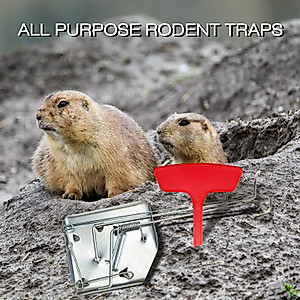 Qualirey 8 Pcs Gopher Traps Mole Mouse Gophers Trap Galvanized Oil Hardened Steel Reusable Animal Trap with 8 Markers for Outdoor Lawn, 12 x 5 Inches