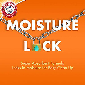 Arm & Hammer Double Duty Clumping Cat Litter, 14lb