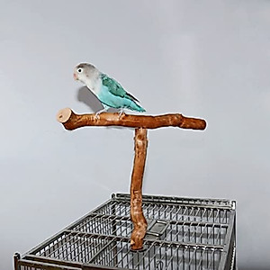 LUOZZY Bird Perches Wood T Shape Bird Toys Parrot Perch Parakeet Stand Platform for Bird Cage Paw Grinding Bird Perch Branches