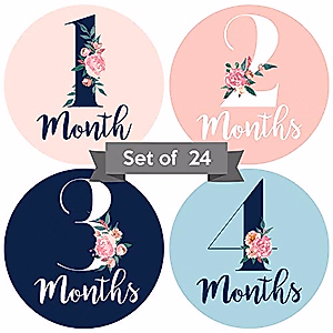 Baby Monthly Stickers | Floral Baby Milestone Stickers | Newborn Girl Stickers | Month Stickers for Baby Girl | Baby Girl Stickers | Newborn Monthly Milestone Stickers (Set of 24)