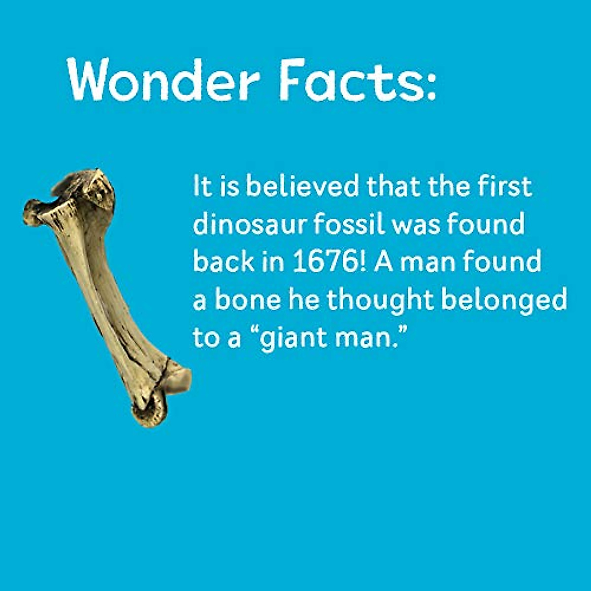 Smithsonian Kids: 100 Dinosaur and Prehistoric Words to Know: Learn all about Dinosaurs for Kids 3-8