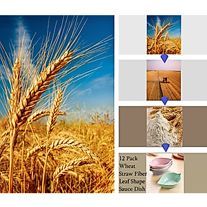 VinBee 12 Pack Leaf Shape Sauce Dish, Sauce Dipping Bowls Wheat Straw Soy Sauce Dishes Mini Dinnerware Plate Condiment Dish for Paste Jam Sushi Assorted