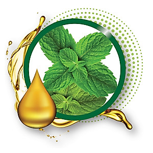 Ruby Kisses Hydrating Lip Oil & Broadway Vita-Lip Clear Lip Gloss (4 PACK)