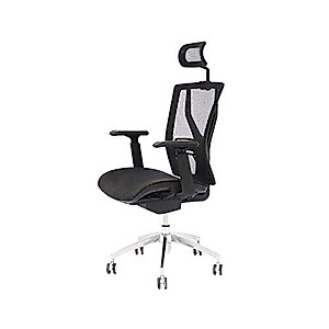 CangLong Mesh Office Chair High Back Desk Chair with 2D Adjustable Headrest and 3D Armrest Swivel Computer Task Chair, BIFMA Certification No 5.1, Black