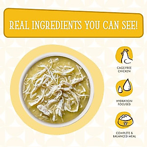 Weruva Cats in The Kitchen, Pumpkin Lickin' Chicken with Chicken Breast in Pumpkin Soup Cat Food, 3oz Pouch (Pack of 12)